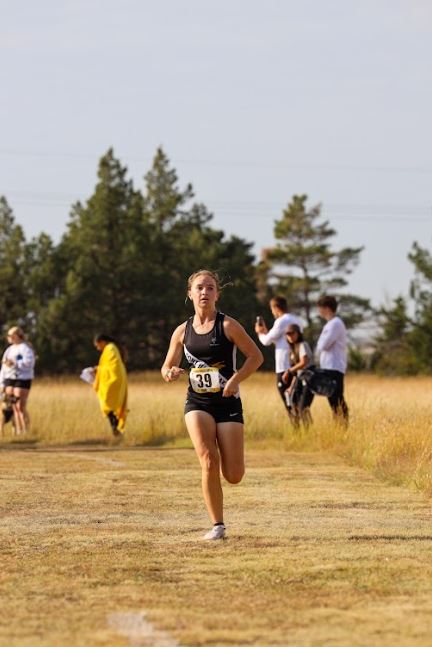 Tiger Cross Country sweeps team victories at FHSU Tiger Open – Tiger ...