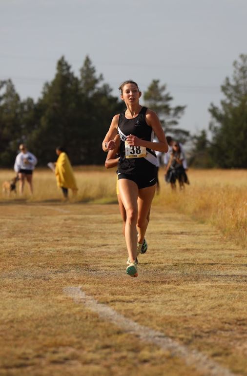 Tiger Cross Country sweeps team victories at FHSU Tiger Open – Tiger ...